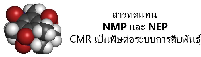 สารทดแทนทันทีสำหรับ NMP และ NEP NEUTRALENE INFINITY iBiotec - Tec ...